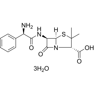 7177-48-2 | Ampicillin (trihydrate) | ChemScene