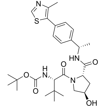 1997302-16-5 | tert-Butyl ((S)-1-((2S,4R)-4-hydroxy-2-(((S)-1-(4-(4-methylthiazol-5-yl)phenyl ...