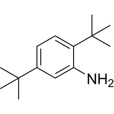 21860-03-7 | 2,5-Di-tert-butylaniline | ChemScene