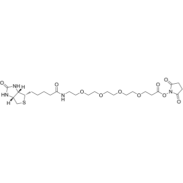 459426-22-3 | Biotin-PEG4-NHS ester | ChemScene