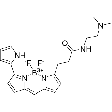 231946-72-8 | LysoTracker Red | ChemScene