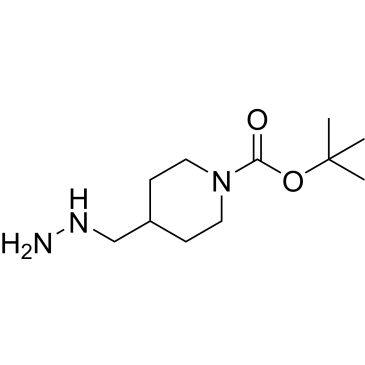 1017117-11-1 | tert-Butyl 4-(hydrazinomethyl)piperidine-1-carboxylate ...