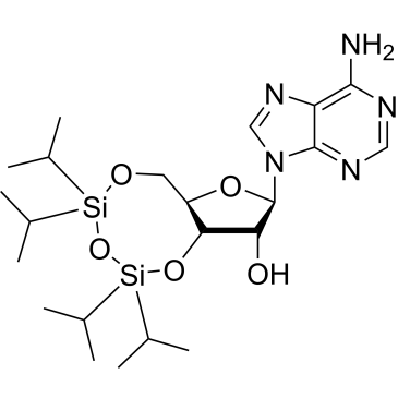 69304-45-6 | (6aR,8R,9R,9aS)-8-(6-Amino-9H-purin-9-yl)-2,2,4,4 ...