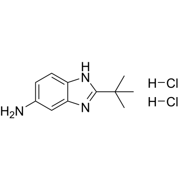 1258641-23-4 | 2-Tert-butyl-1h-1,3-benzodiazol-5-amine dihydrochloride ...