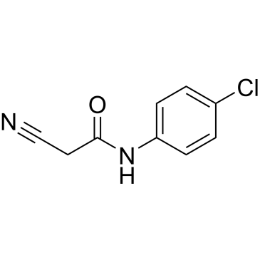17722-17-7 | N-(4-Chlorophenyl)-2-cyanoacetamide | ChemScene