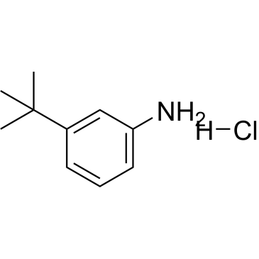 83672-23-5 | 3-(Tert-butyl)aniline hydrochloride | ChemScene