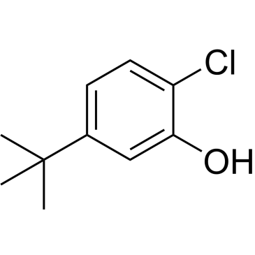 20942-69-2 | 5-(tert-Butyl)-2-chlorophenol | ChemScene