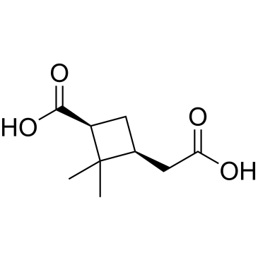 61774-58-1 | rel-cis-Pinic acid | ChemScene