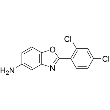 293737-83-4 | 2-(2,4-Dichlorophenyl)benzo[d]oxazol-5-amine | ChemScene