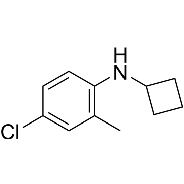 1249368-93-1 | 4-Chloro-n-cyclobutyl-2-methylaniline | ChemScene
