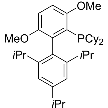 1070663-78-3 | BrettPhos | ChemScene